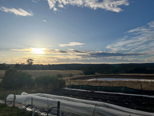 Jonai Farms 2 - Green Agenda