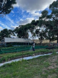 Utopia: farming, feeding & fighting here at home - Green Agenda